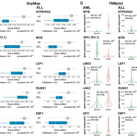 Analysis Of Gene Effect Difference Reveals Supertarget Genes In