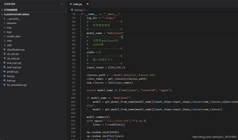 神经网络学习小记录55——keras搭建常见分类网络平台（vgg16、mobilenet、resnet50）bubbliiiing的学习小