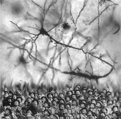 The Mechanical Beauty Of Hierarchically Organized Living Structures S F Scienzaefilosofia It