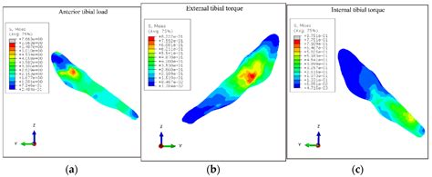 Finite Element Analysis And Experimental Validation Of The Anterior Cruciate Ligament And