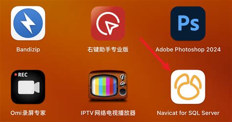 navicat for sql server v16 3 4 for mac 数据库管理及开发工具迈克库软件