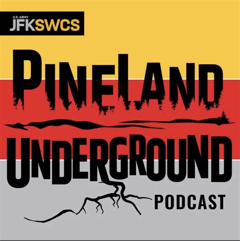 Irregular Warfare Strategy Five Key Principles For The U S In The Gray Zone