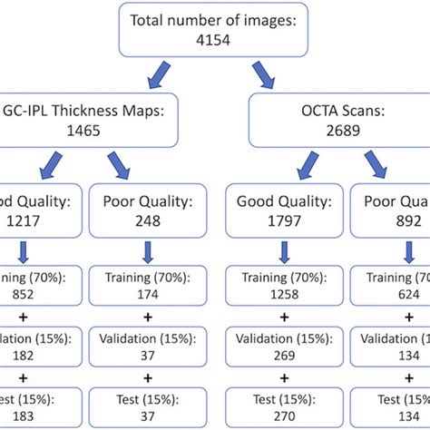 schematic of the distribution of training validation and testing sets