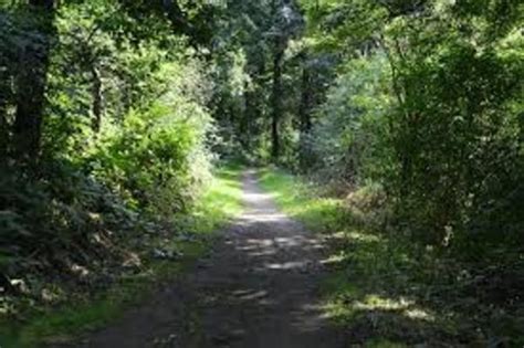 Pervert Tries To Lure 2 Girls Into Woods — Then A Neighbor Sees Whats Happening And Acts Fast