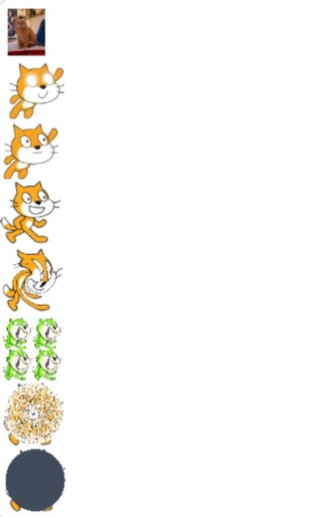Whirled Scratch Cat Meme Template Extended Rscratchmemes