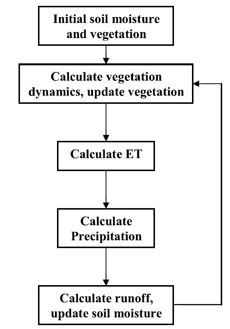 1 Schematic Of The Model Integration Cycle Download Scientific Diagram