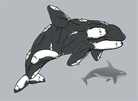 Penguin Orca Blank Template Imgflip