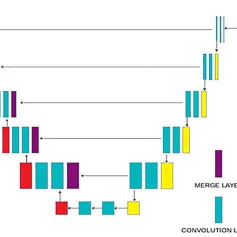 Cropping Of Region Of Interest Download Scientific Diagram
