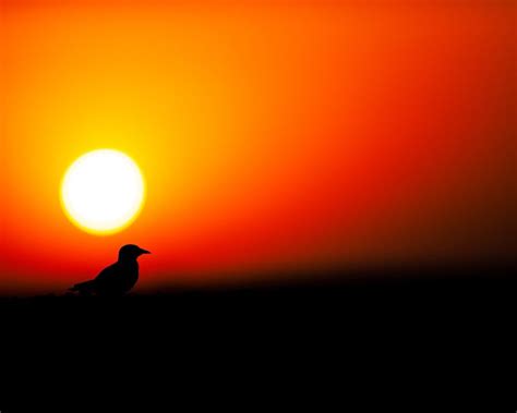 About Me Curious To Know Me Mohammad Murad