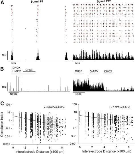 Figure 3 From Absence Of Plateau Potentials In Dlgn Cells Leads To A