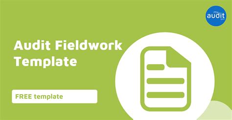 My Audit Spot Internal Audit Template Fieldwork Testing Workpaper