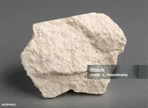 회색 배경에 바다 포탄의 내포 물이 있는 석회암 석회석은 해양 생물의 골격 조각으로 구성 된 퇴적암 바위입니다 석회암에 대한 스톡 사진 및 기타 이미지 Istock