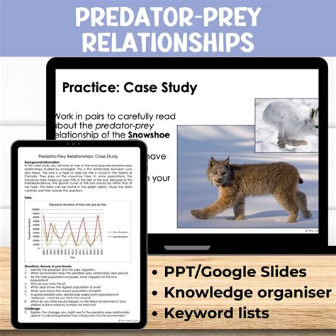 Predator Prey Relationships Lesson Teaching Resources