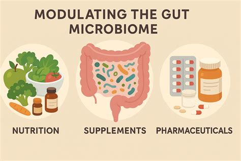 Modulating The Gut Microbiome With Nutrition Food Supplements Or Phar