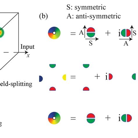 Pdf Self Imaging Of Orbital Angular Momentum Oam Modes In Rectangular Multimode Interference