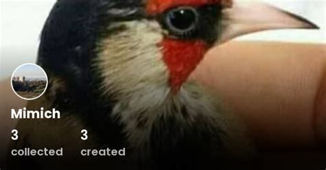 Mimich Profile Opensea