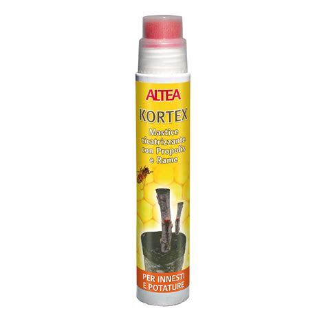 KORTEX – Altea