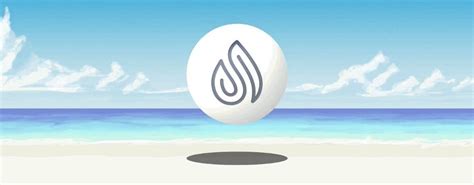 Potential Shell Protocol Airdrop How To Be Eligible