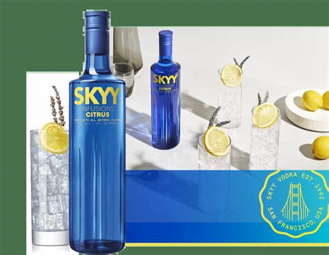 Mix Drinks With Skyy Vodka Recipes At Santos Long Blog