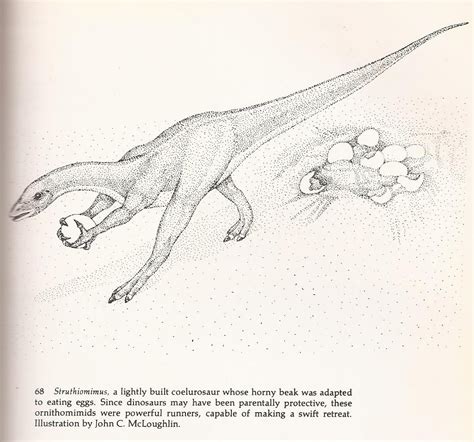 Love In The Time Of Chasmosaurs Vintage Dinosaur Art Dinosaurs Of The