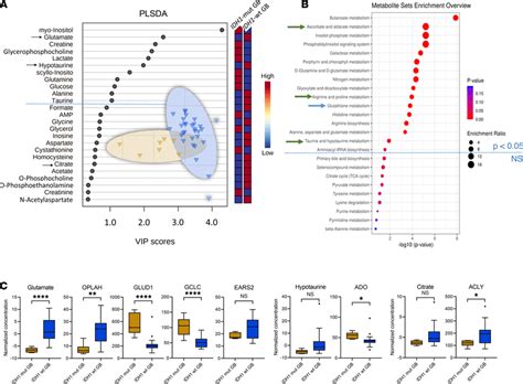 Idh1 Mutation Status Cohort Comparison Iii A C Pls Da Identifies 11