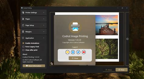 GitHub Codrax Codrut Printing A Semi Advanced Printing Dialog For Pictures Similar To The