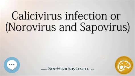 Calicivirus Infection Or Norovirus And Sapovirus 🔊 Youtube