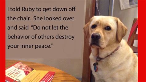 Sales Lessons From Ruby