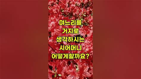 시어머니가 저를 거지취급 하는데 어찌할까요 Youtube