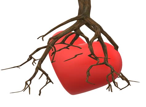 Download Heart Root Tree Royalty Free Stock Illustration Image Pixabay