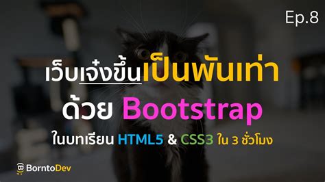 เว็บเจ๋งขึ้น เป็นพันเท่า แค่ใช้ Bootstrap พื้นฐาน Html5andcss3 ใน 3 ชั่วโมง Ep8 Youtube