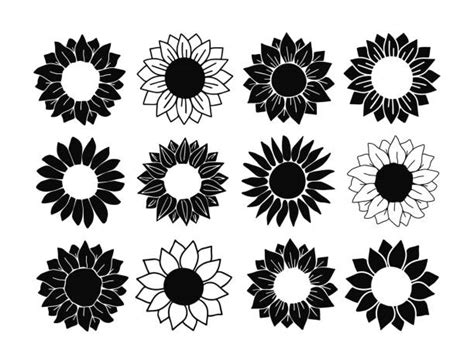 2700 Sunflower Silhouette Stock Illustrations Royalty Free Vector