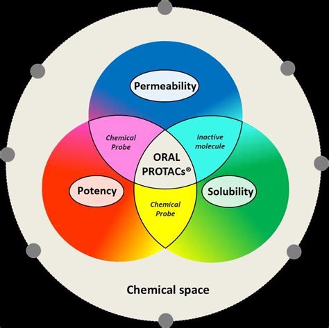 Subregions Of The Chemical Space Schematic Representation Download Scientific Diagram