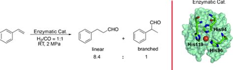 Regioselective Hydroformylation Of Styrene Using Rhodium‐substituted