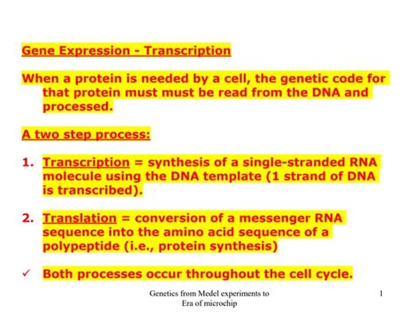 Gene Expresion Transcriptionpdf