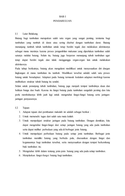 Botani Tanaman Saccharum Officinarum Tebu Morfologi Lengkap Tanaman Tebu Pptx