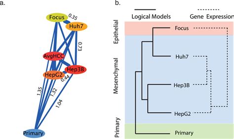 Topological Clustering Of Logic Based Models Of Primary And Transformed