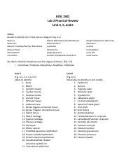 Cell Biology And Anatomy Lab Cell Structures And Tissues Course Hero