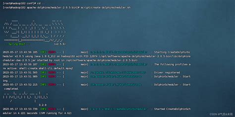dolphinscheduler 集群模式部署 dolphinscheduler 集群部署 csdn博客