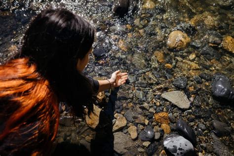 Gitxsan House Group Declares New Protected Area In Northern B C The
