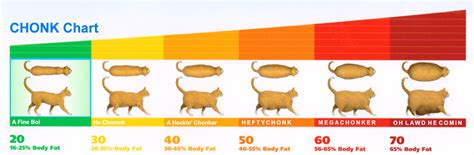 Chonk Chart Meme 生成器