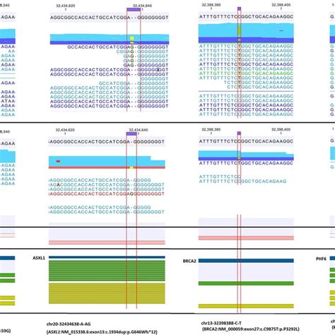 The Paired End Mapping Read Track Displaying Reads And Detected