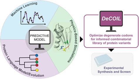 Decoil Optimization Of Degenerate Codon Libraries For Machine Learning Decoil Optimization Of Degenerate Codon Libraries For Machine Learning