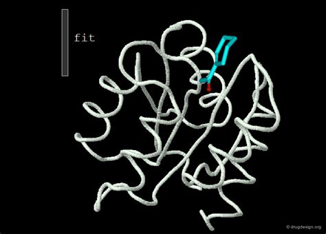 Molecular Docking Drug Design Org