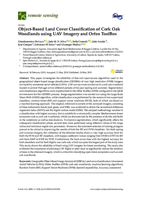 Pdf Object Based Land Cover Classification Of Cork Oak Woodlands