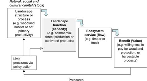 Conceptual Framework For Analyzing Landscape Functions Redrawn And Download Scientific Diagram
