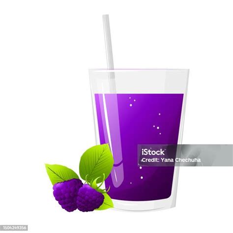 블랙베리 주스와 라즈베리 한 잔이 하얀 배경에 분리되어 있다 라벨 메뉴 포스터 인쇄물 또는 포장 디자인용 벡터 그림 0명에 대한 스톡 벡터 아트 및 기타 이미지 Istock