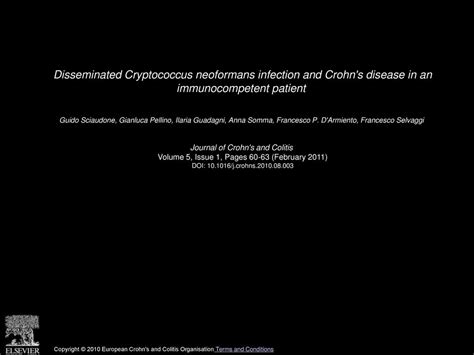Disseminated Cryptococcus Neoformans Infection And Crohns Disease In