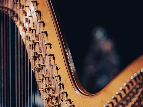 A Journey Through The Harp Making Process From Wood Selection To Assembly