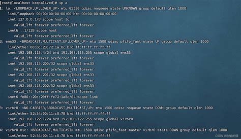 Keepalived双机热备 Csdn博客